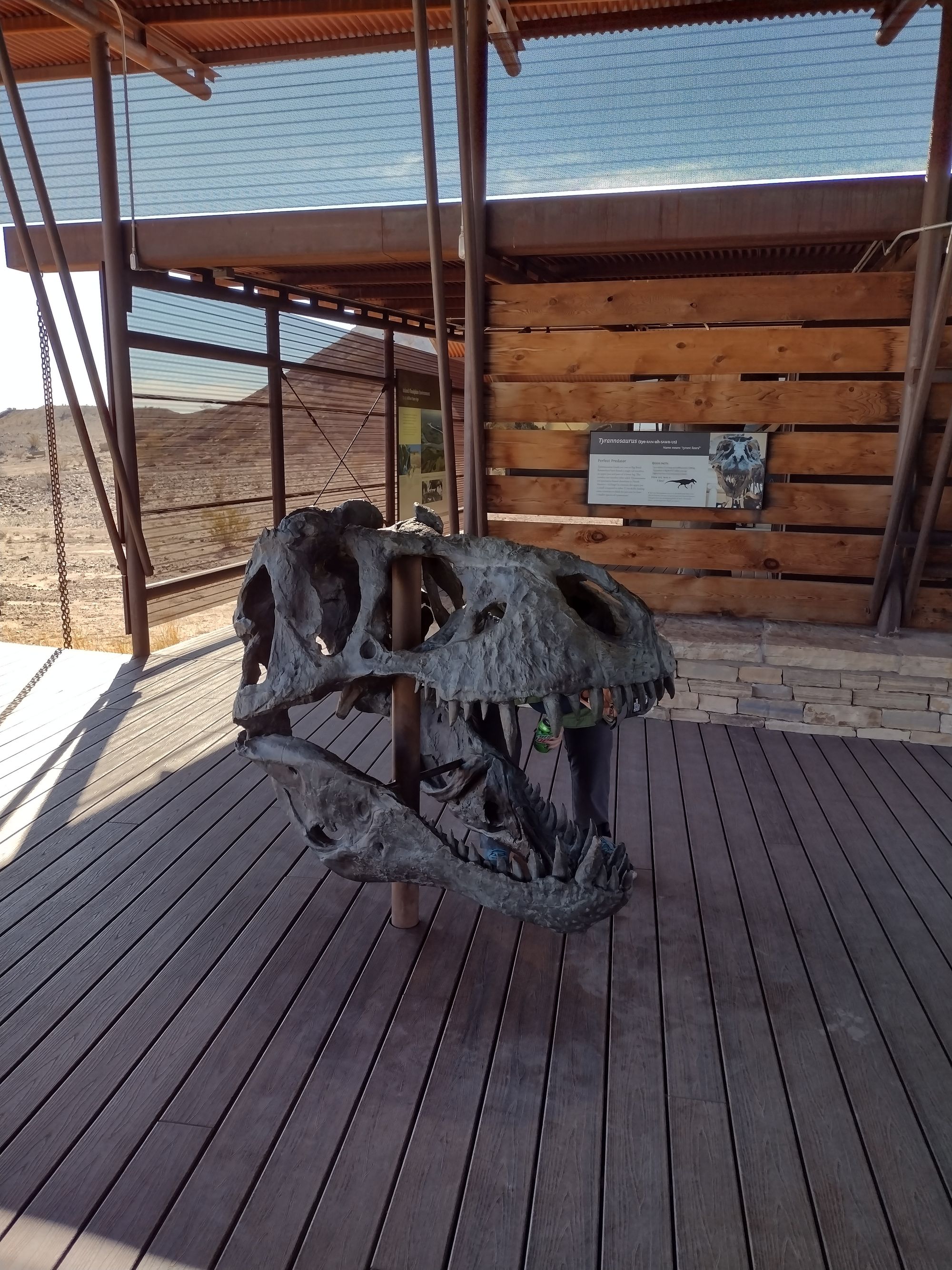 Genx girl hiking..aka Female hiking views from a newbie with health issues